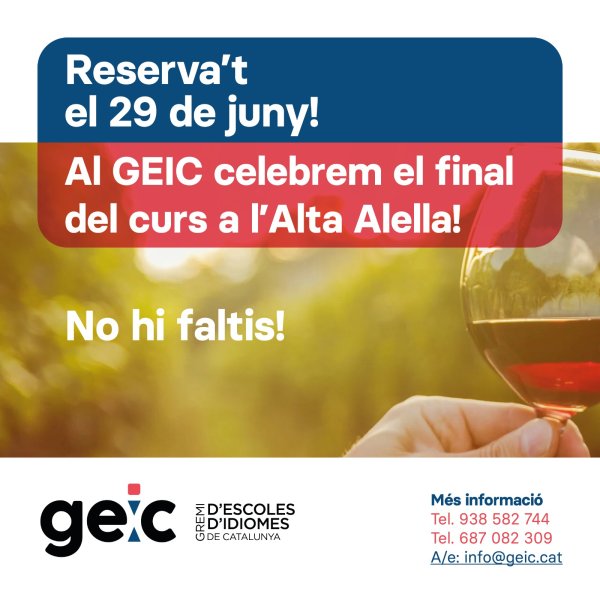 Networking / Festa de final de curs | GEIC - Gremi d'Escoles d'Idiomes ...